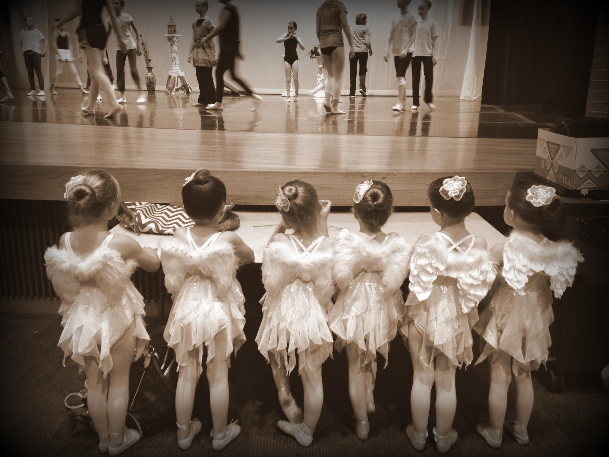 Excelsior School of Dance | Proven Quality Training